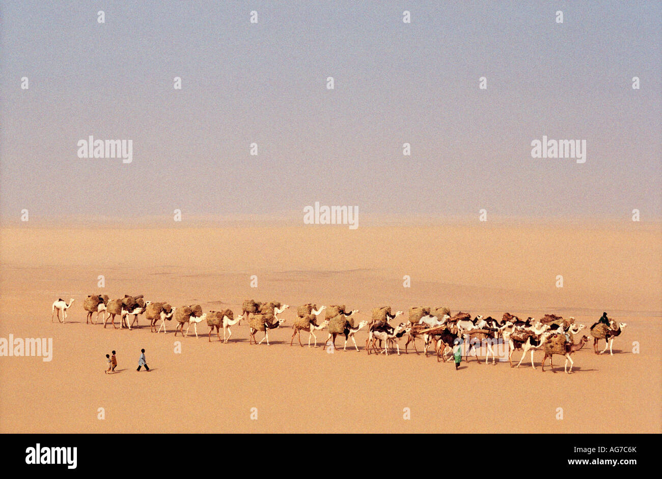 Niger Tenere Tuareg tribe doing traditional salt caravan from Agadez to ...