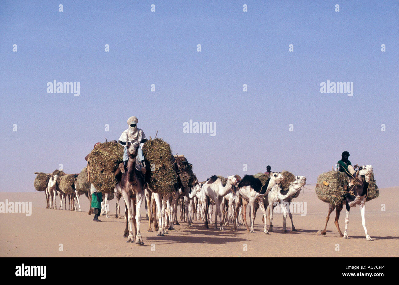 Tuareg agadez caravan hi-res stock photography and images - Alamy