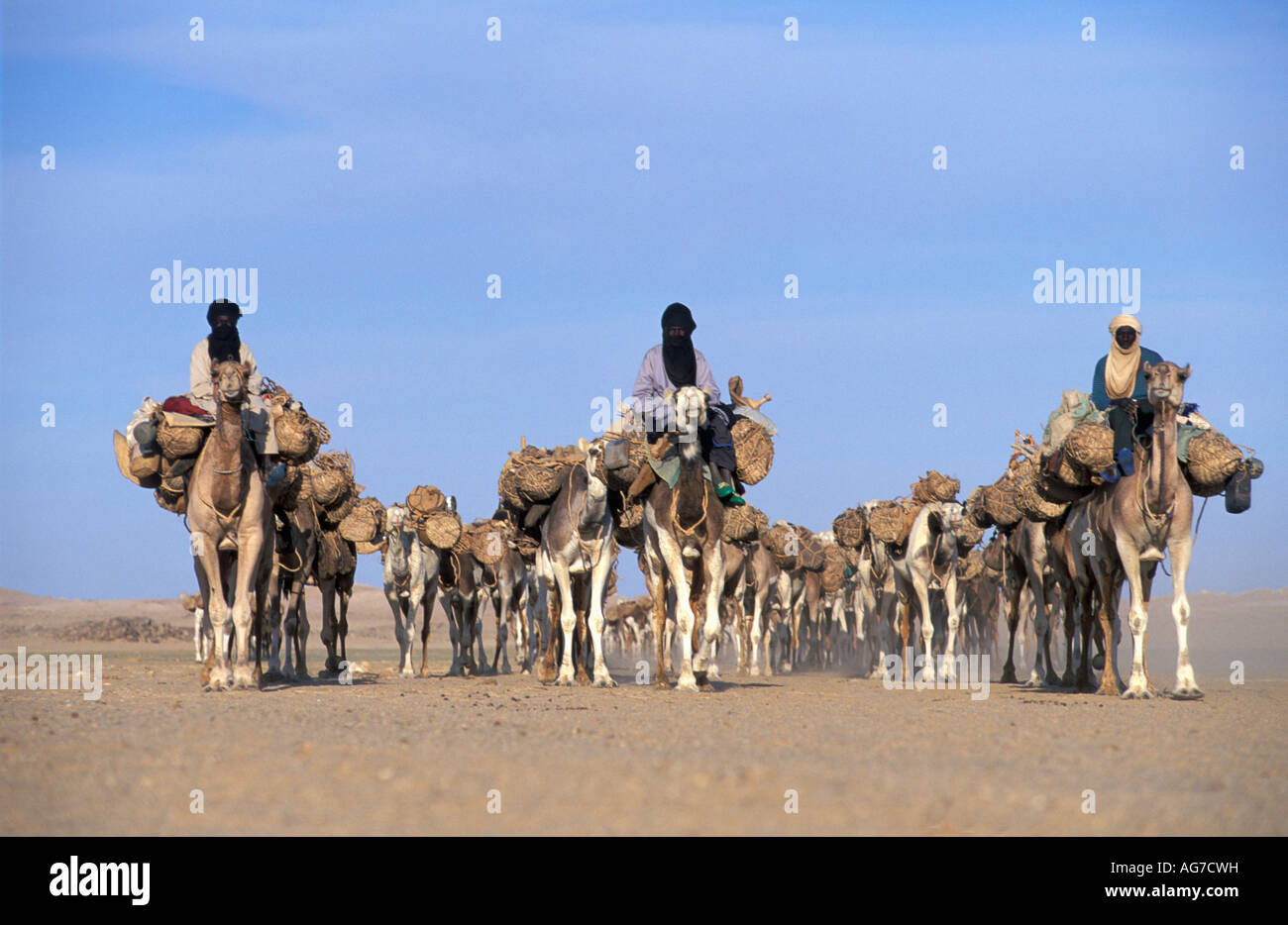 Niger Tenere Tuareg tribe doing traditional salt caravan from Agadez to ...