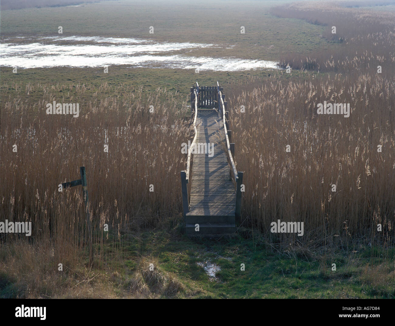 Aldeburgh marsh hi-res stock photography and images - Alamy