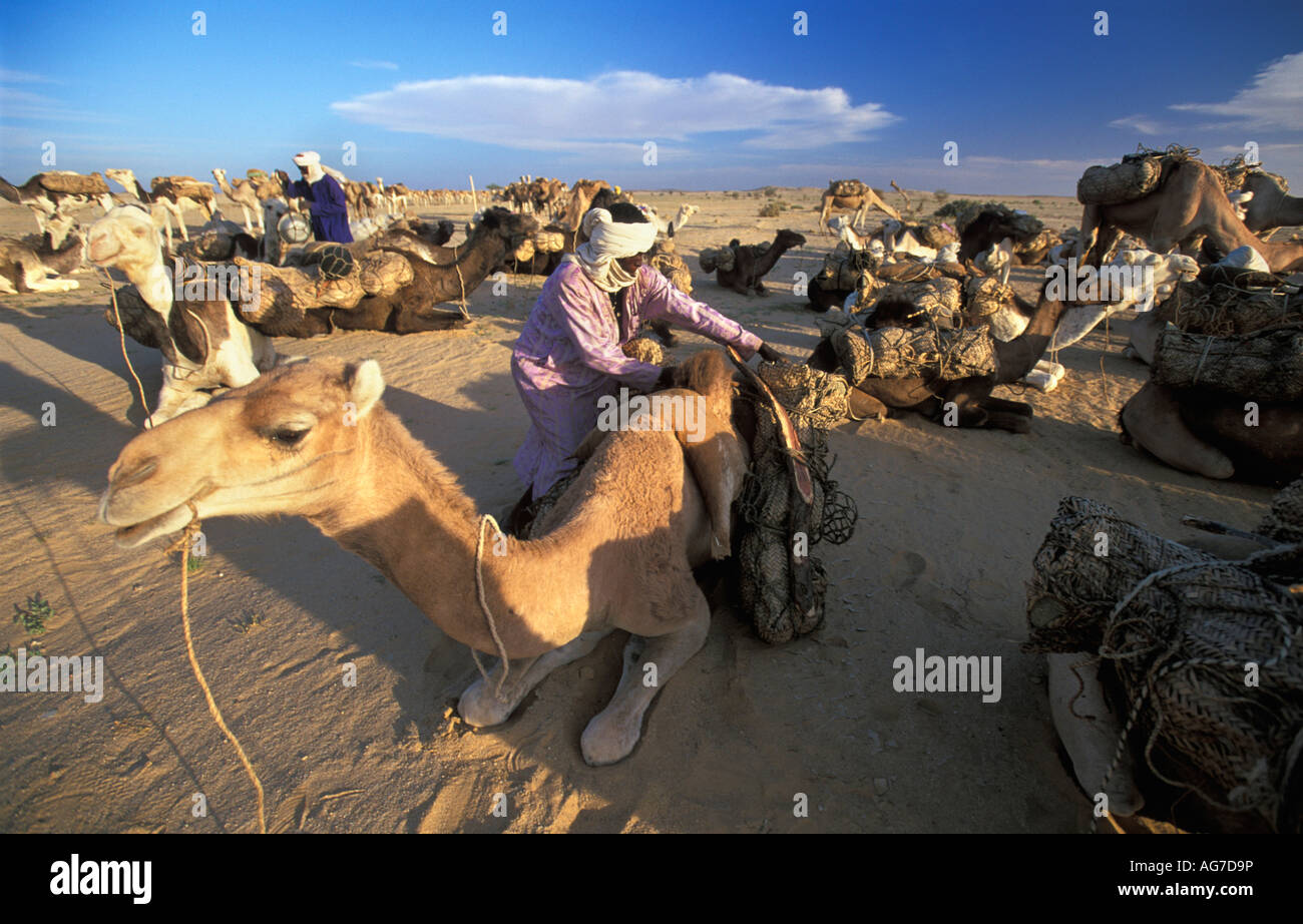 Salt caravan; unloading hi-res stock photography and images - Alamy