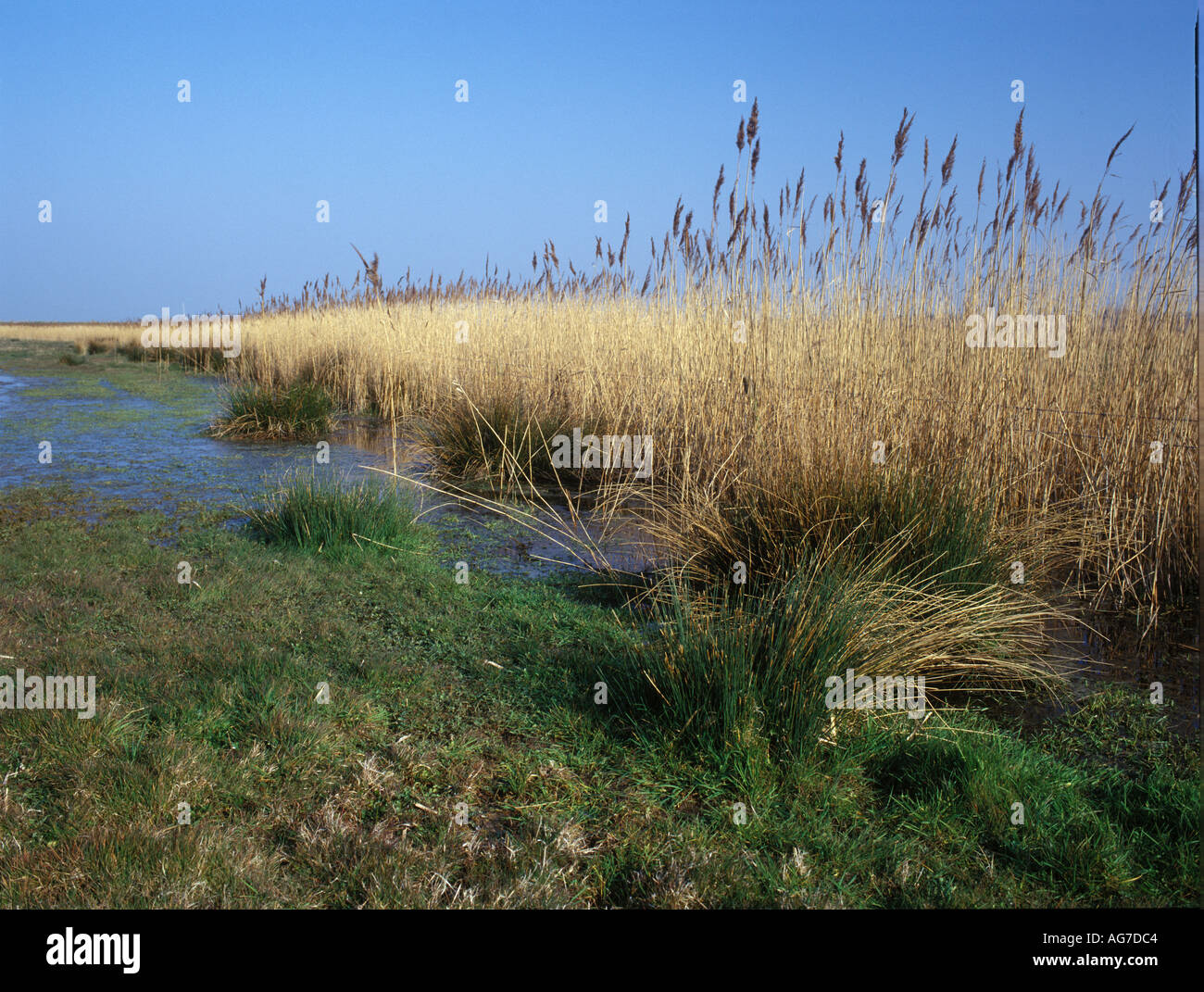 The marshes aldeburgh hi-res stock photography and images - Alamy