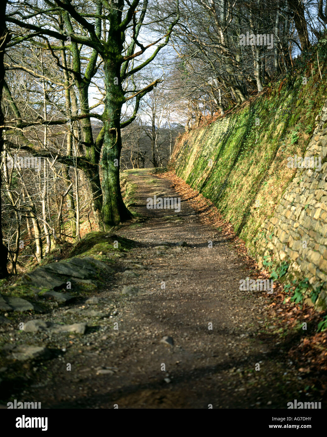 National route 8 wales hi-res stock photography and images - Alamy
