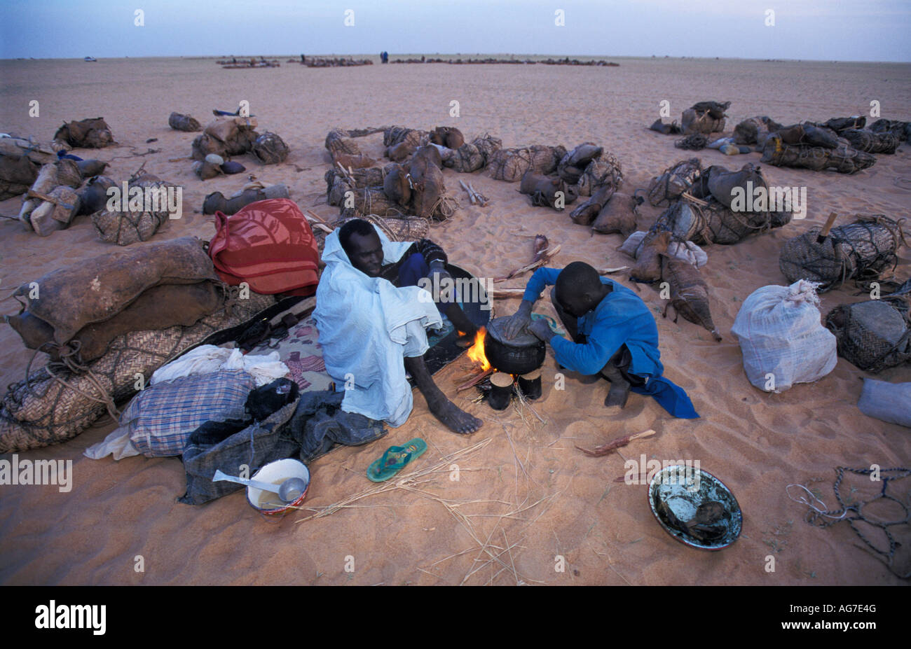 Teenage breeder hi-res stock photography and images - Alamy