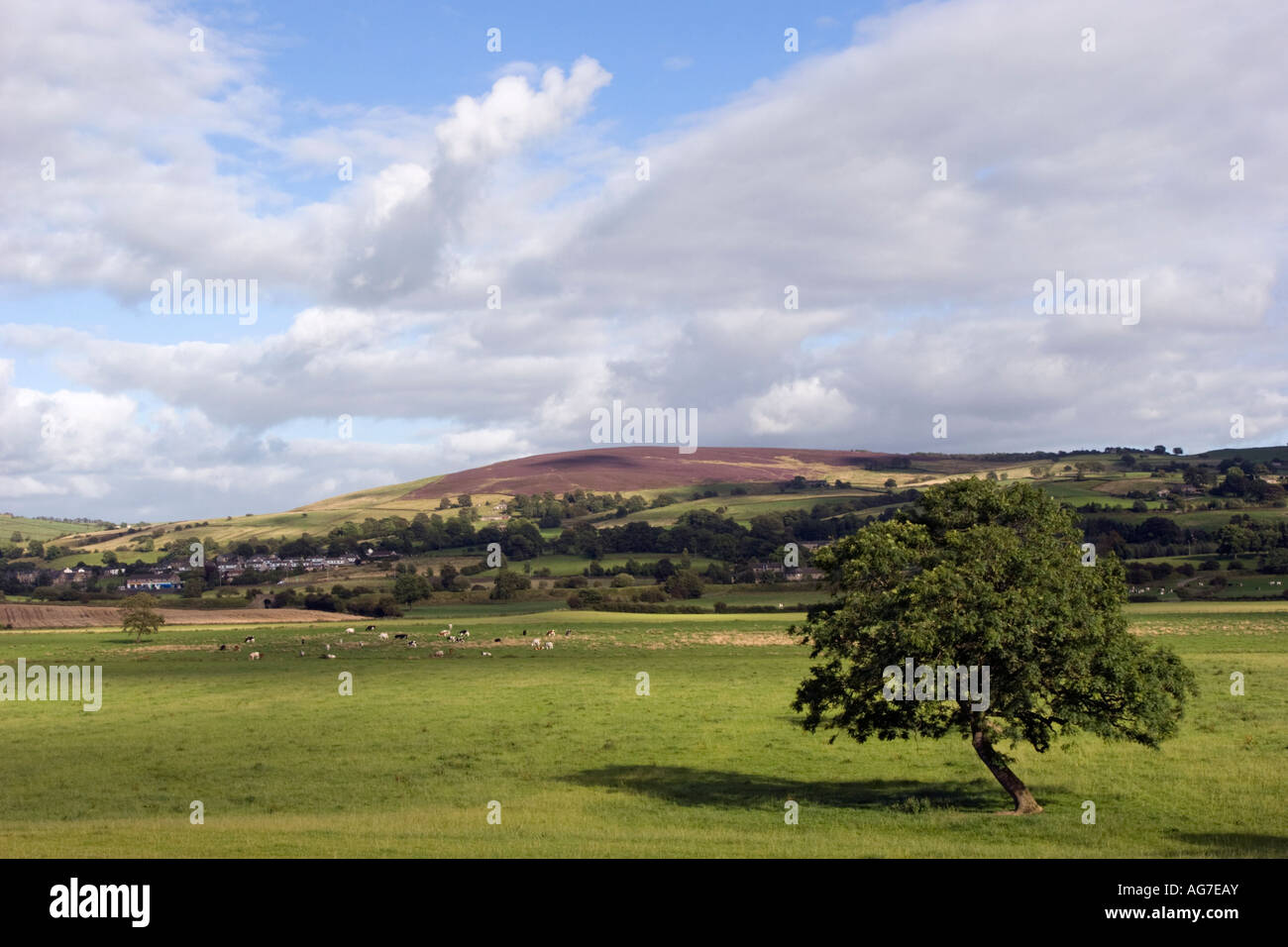 Countryside from the Leeds Liverpool Canal near Foulridge Stock Photo ...