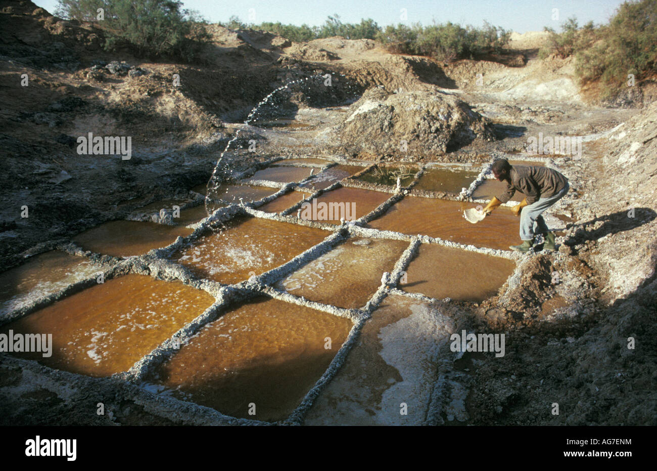 Niger Fachi Man working in salt production putting salt water in pan ...