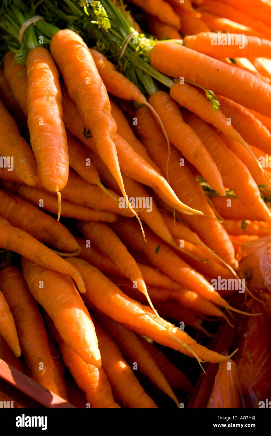 Carrots on display Stock Photo - Alamy