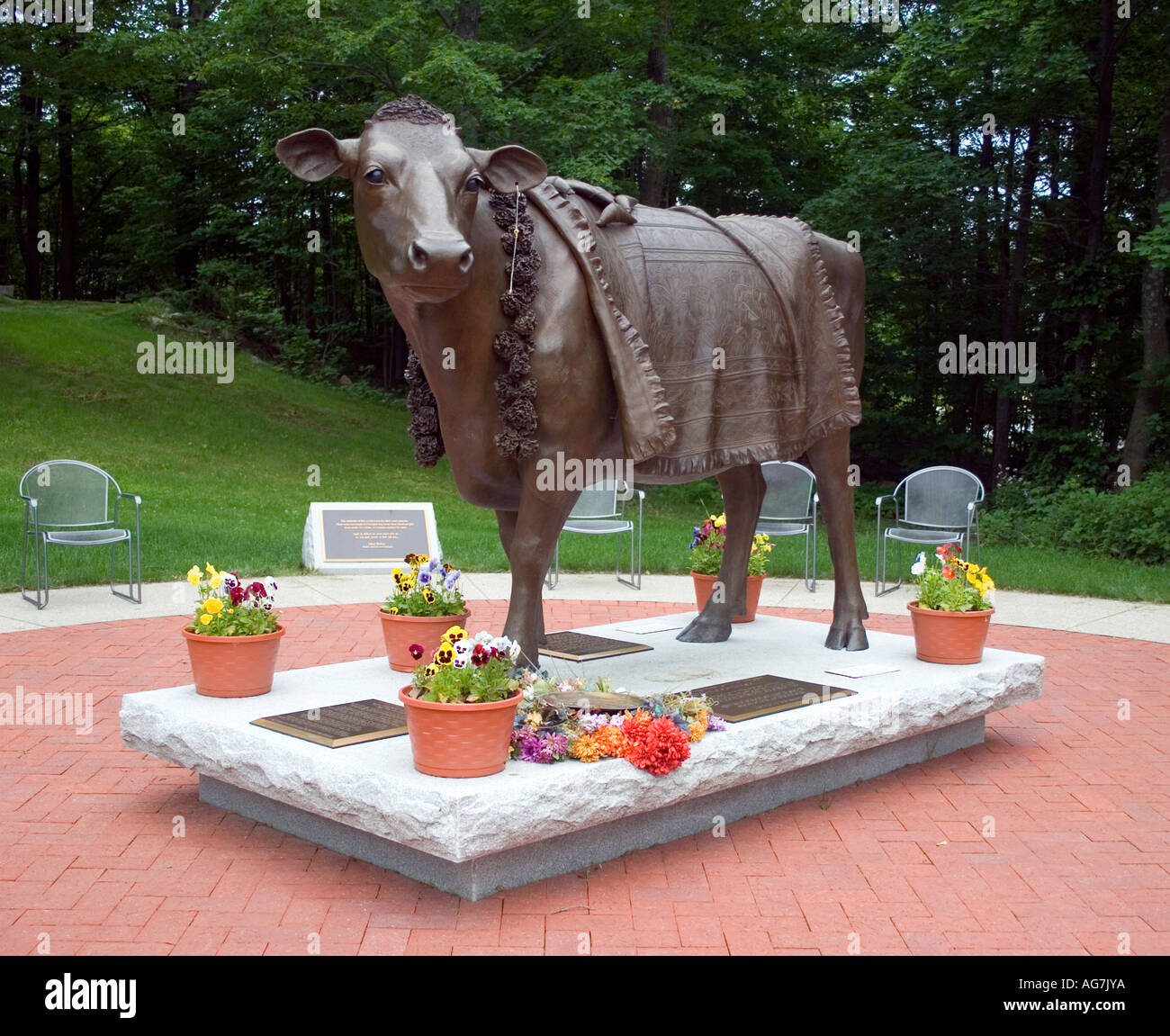 Elsie the cows bronze statue over her grave at the Peace Abbey in ...
