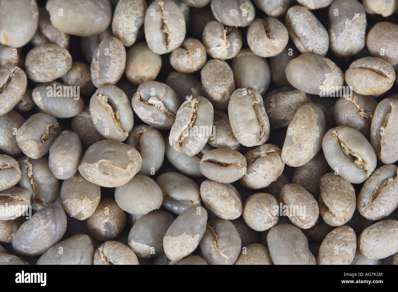 Pearl beans hi-res stock photography and images - Alamy
