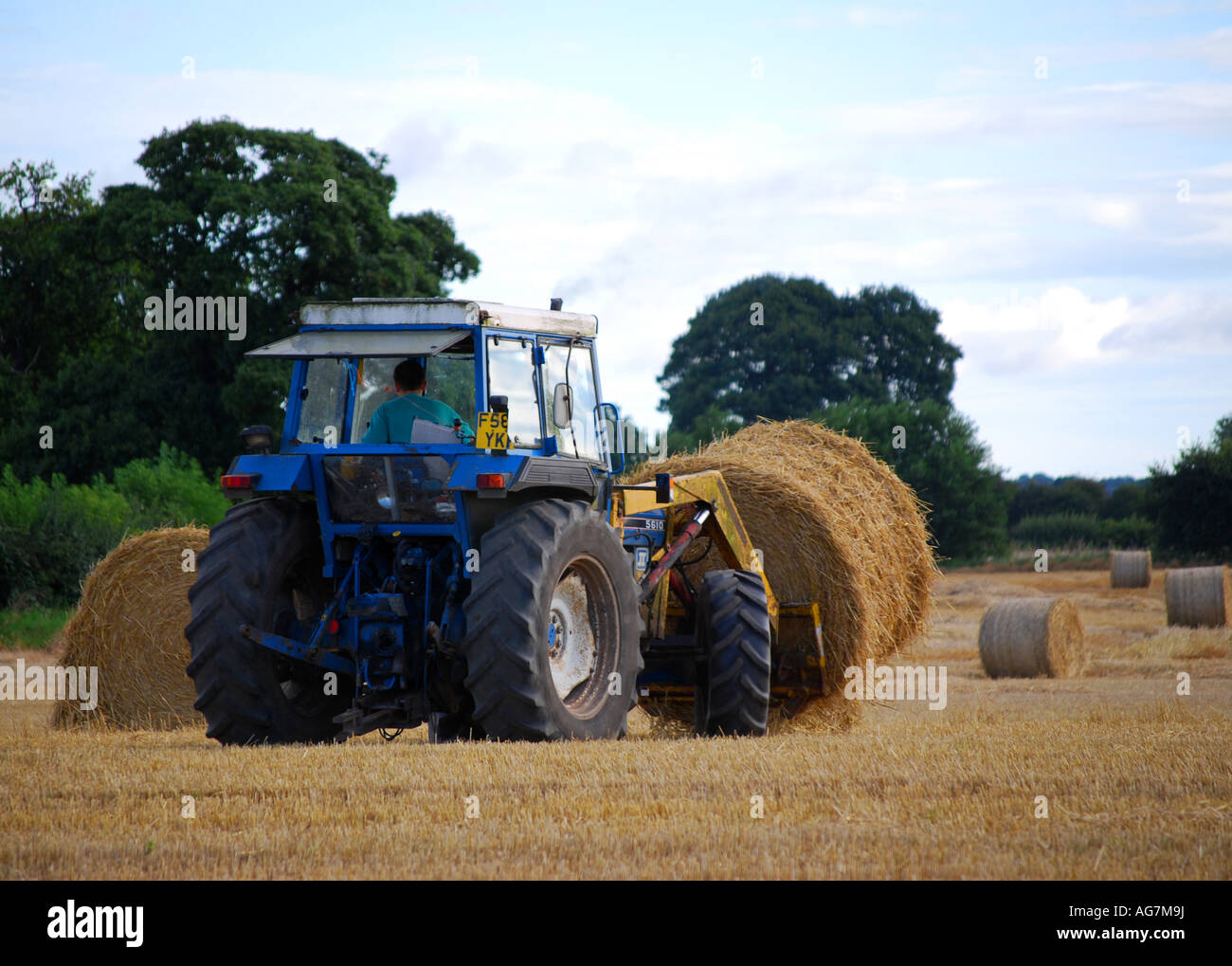 Farm worker driving tractor Stock Photo - Alamy