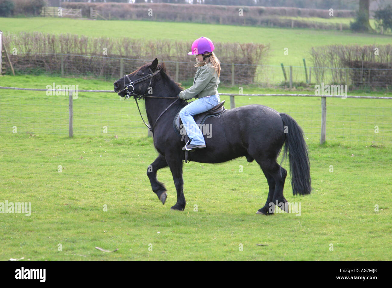 Young girl riding a black pony Stock Photo - Alamy