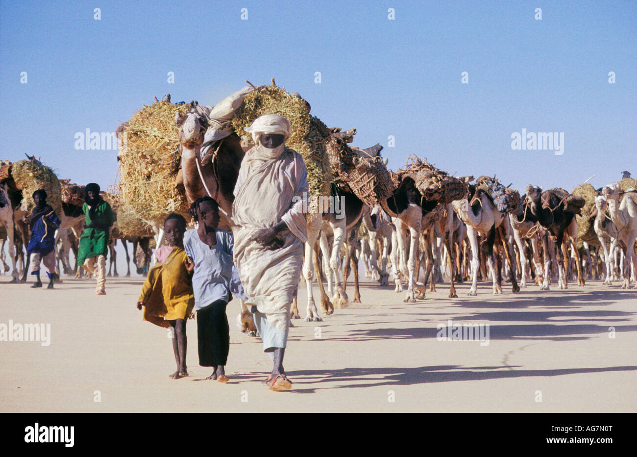 Niger Tenere Tuareg tribe doing traditional salt caravan from Agadez to ...