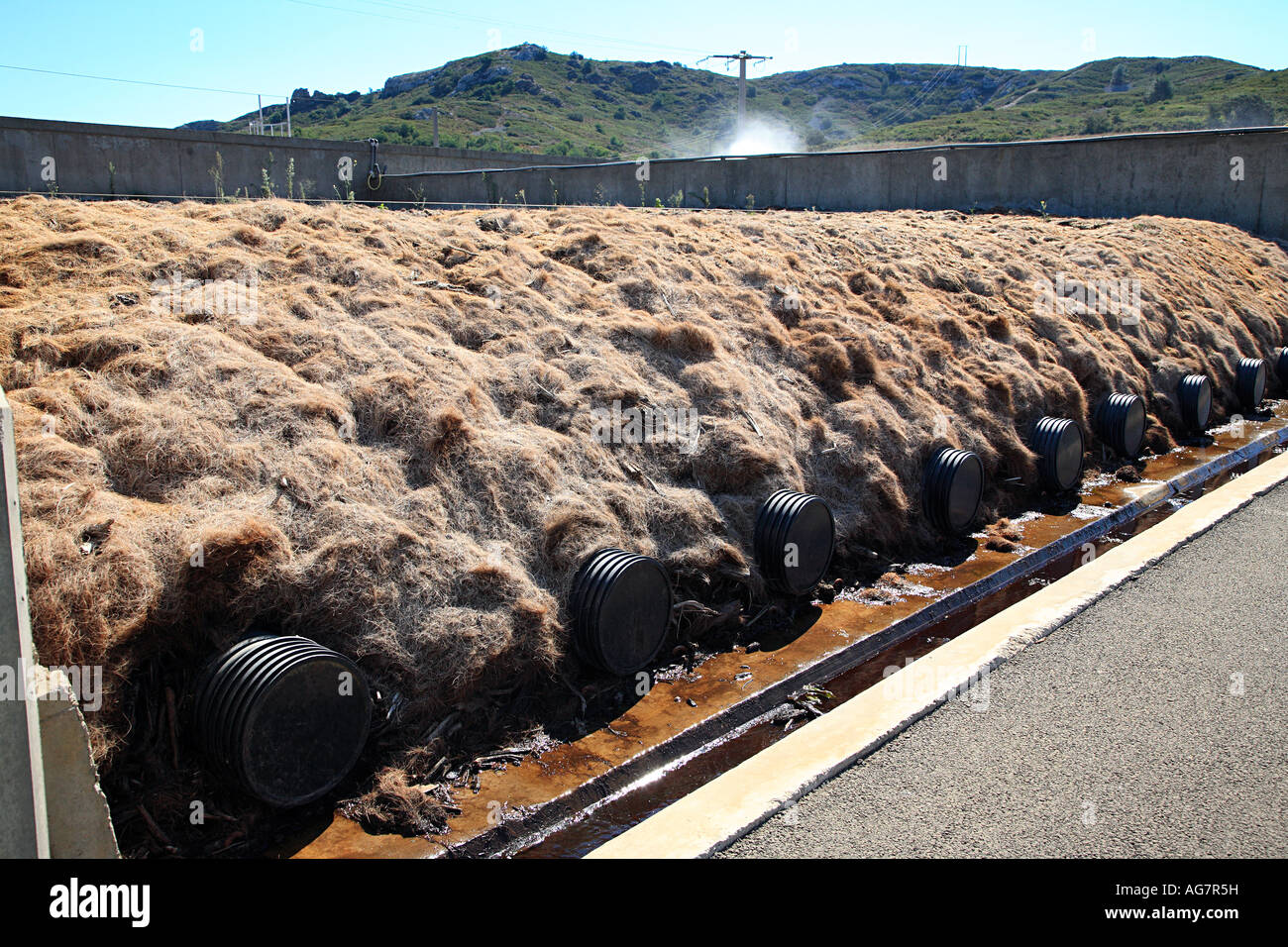 Vegetable filter hi-res stock photography and images - Alamy
