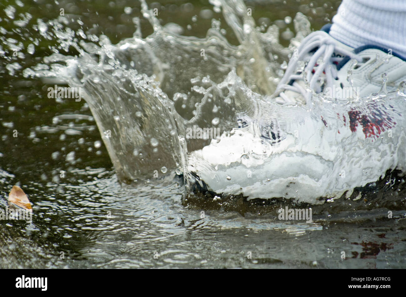 closeup running shoe hitting water puddle Stock Photo - Alamy