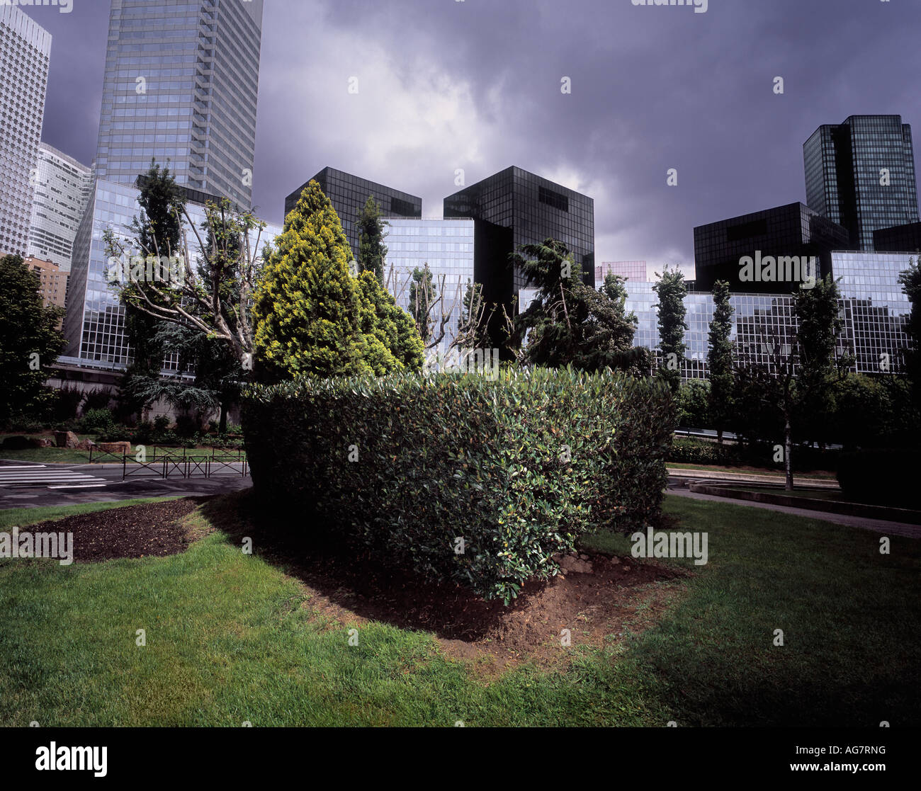 Skyline and downtown tree and office mirror hi-res stock photography ...