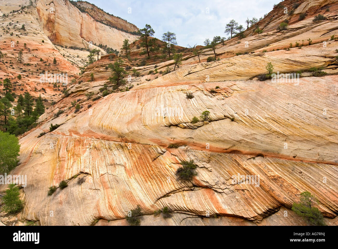 Cross bedding zion hi-res stock photography and images - Alamy
