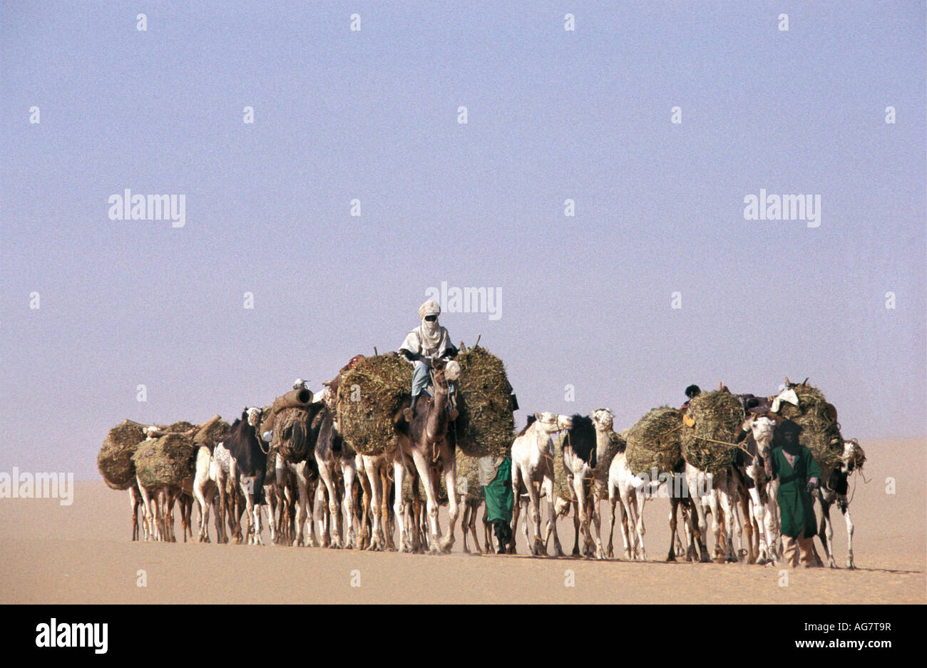 The Wanderer Caravan Stock Photos & The Wanderer Caravan Stock Images ...