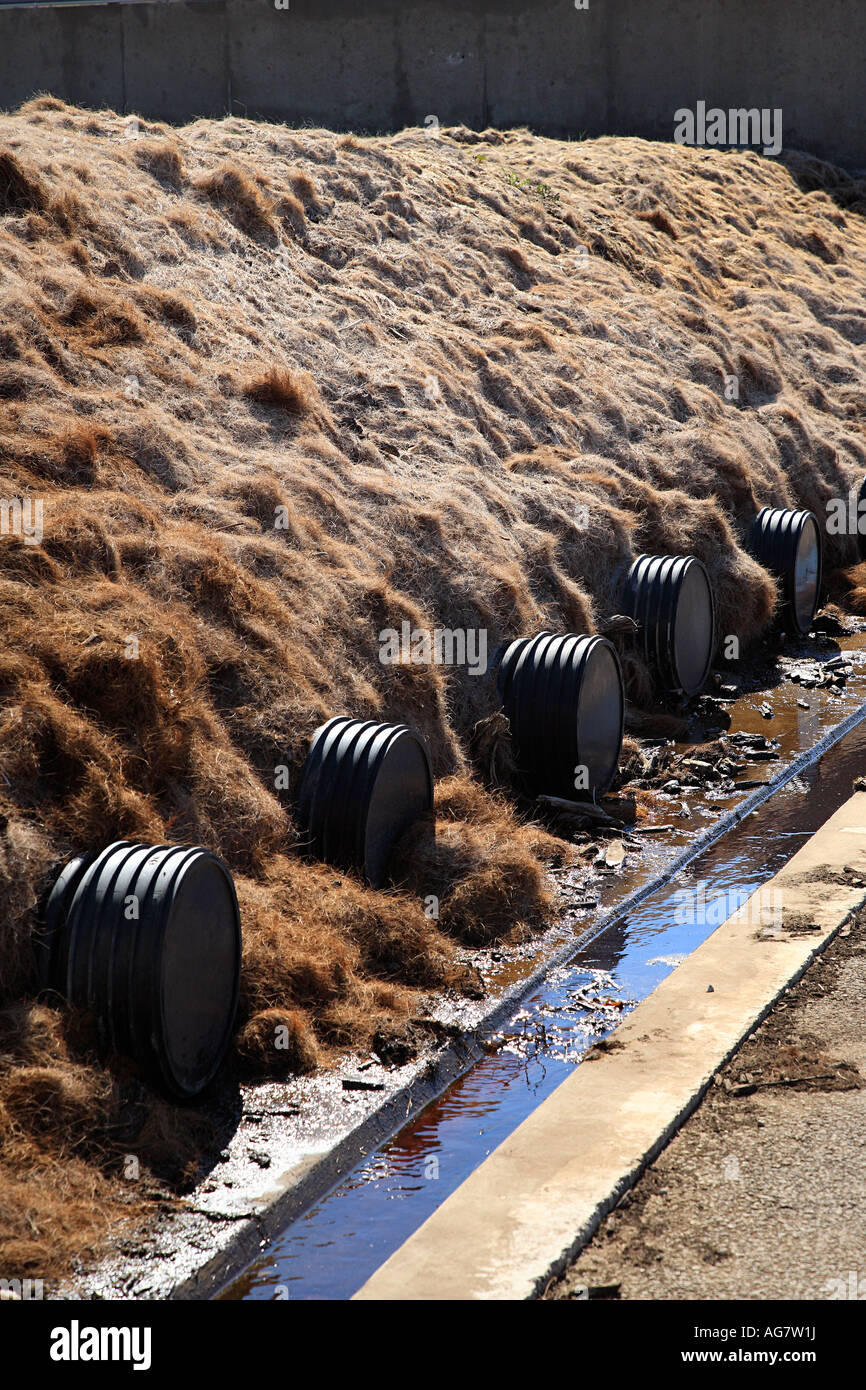 Ecology, vegetable filter destroying bad smell Stock Photo - Alamy