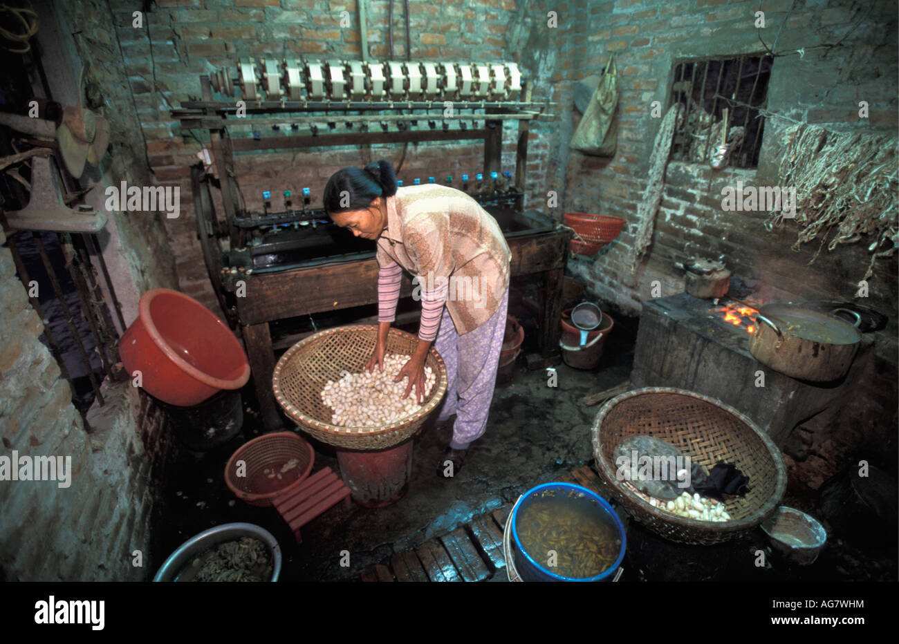 Sericulture hi-res stock photography and images - Alamy