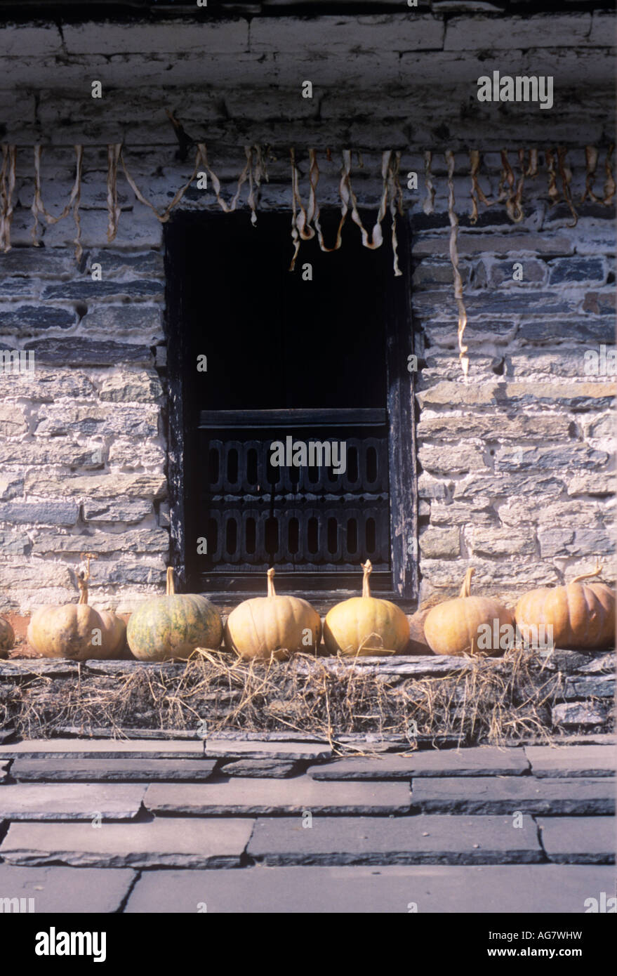 Pumpkins drying on a rooftop, Annapurnas, Nepal Stock Photo - Alamy