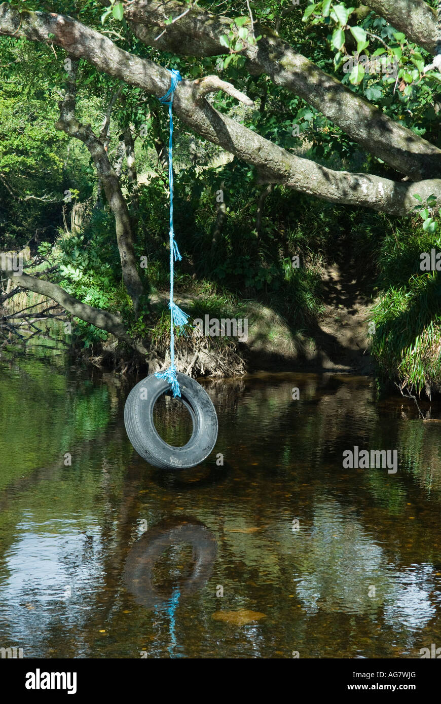 Tyre swing over a river Stock Photo - Alamy