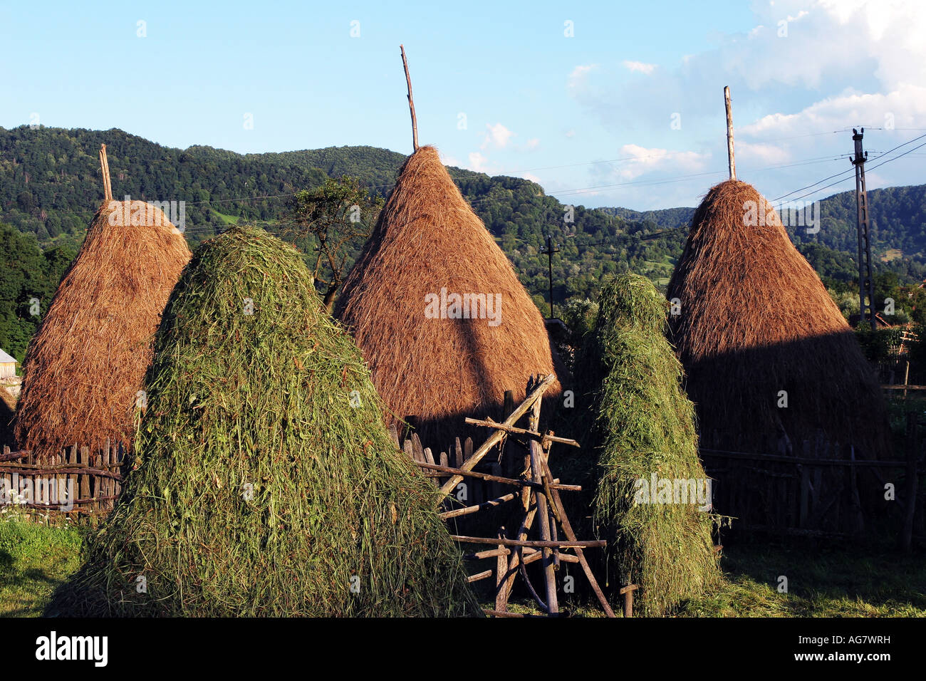 Haystacks in the Romanian countryside Stock Photo - Alamy
