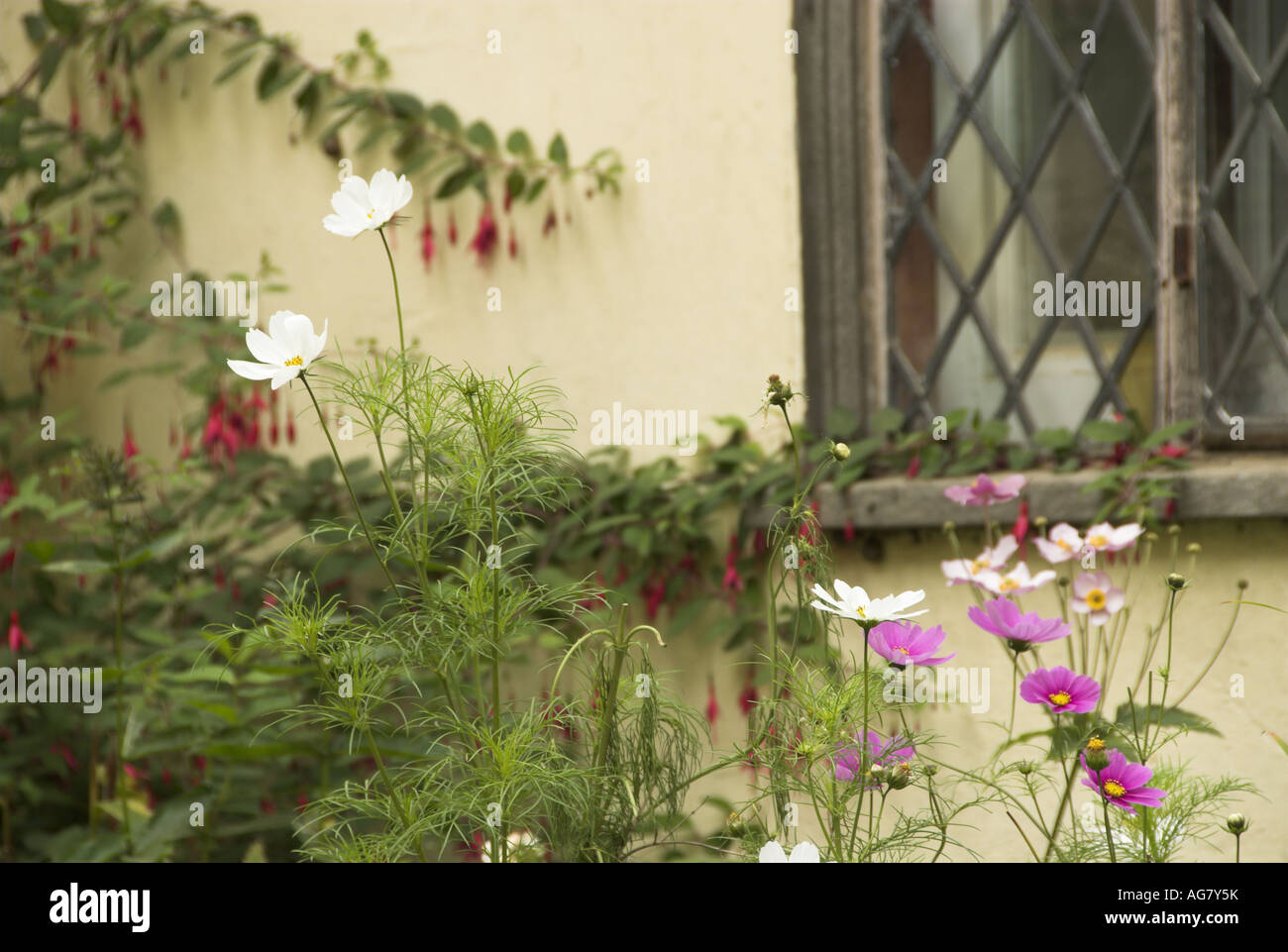 lhjgvog yrdx ouyg Stock Photo - Alamy