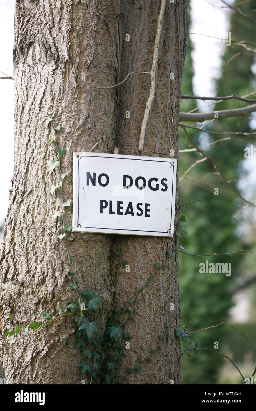 No Dogs Please sign on tree 001 Stock Photo - Alamy