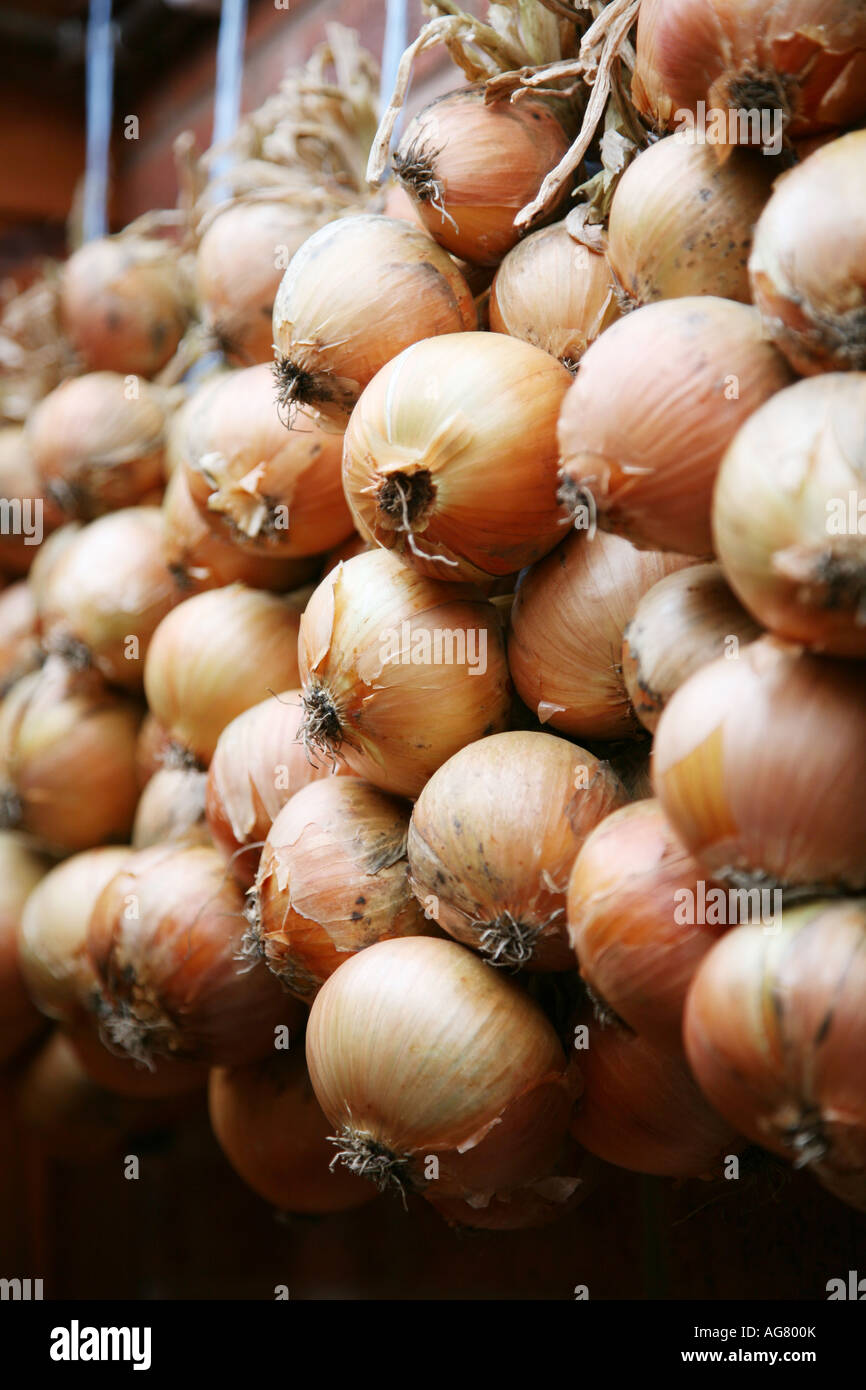 Strings of onions hi-res stock photography and images - Alamy