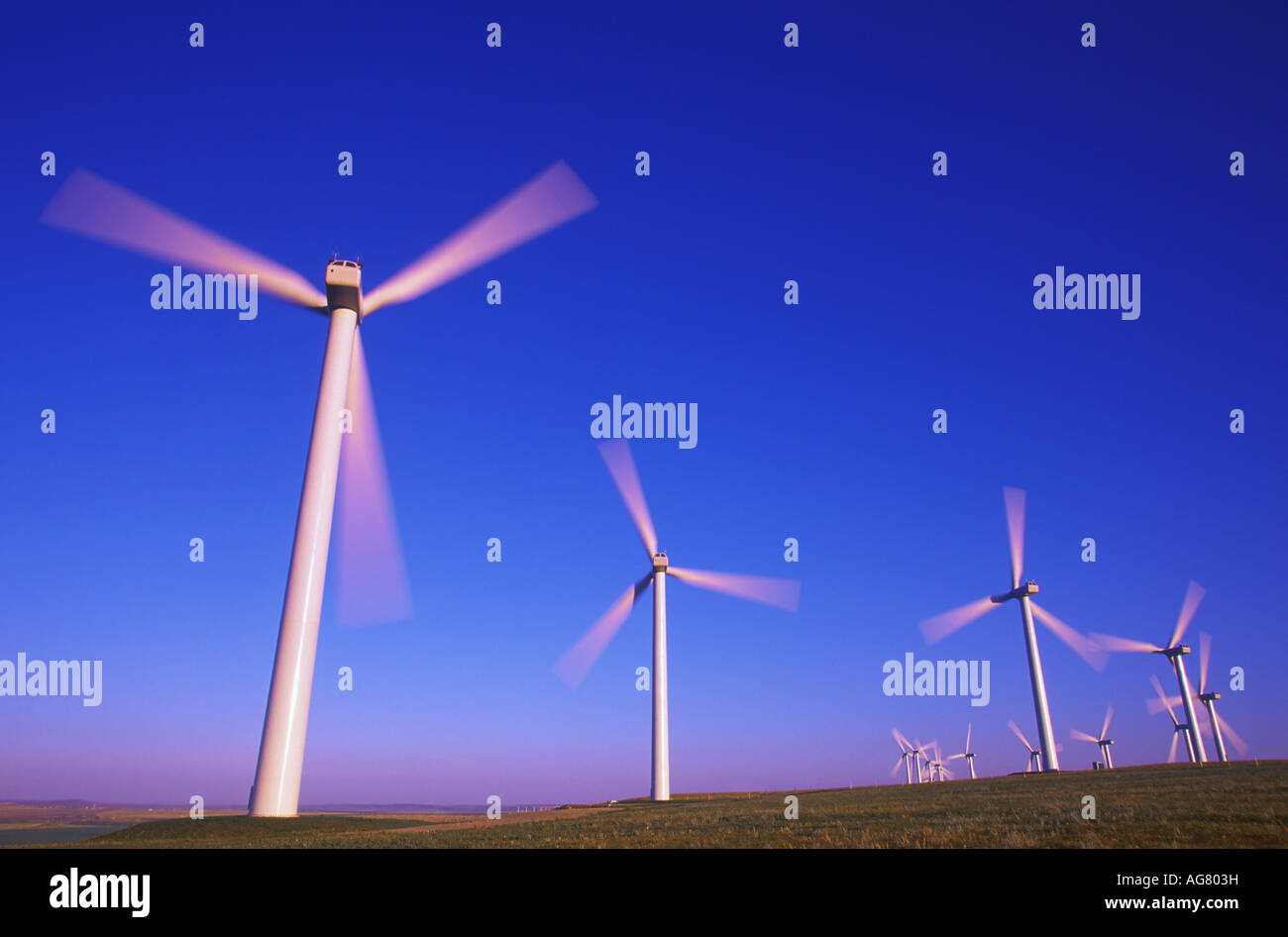 Wind farm in Alberta, Canada Stock Photo - Alamy