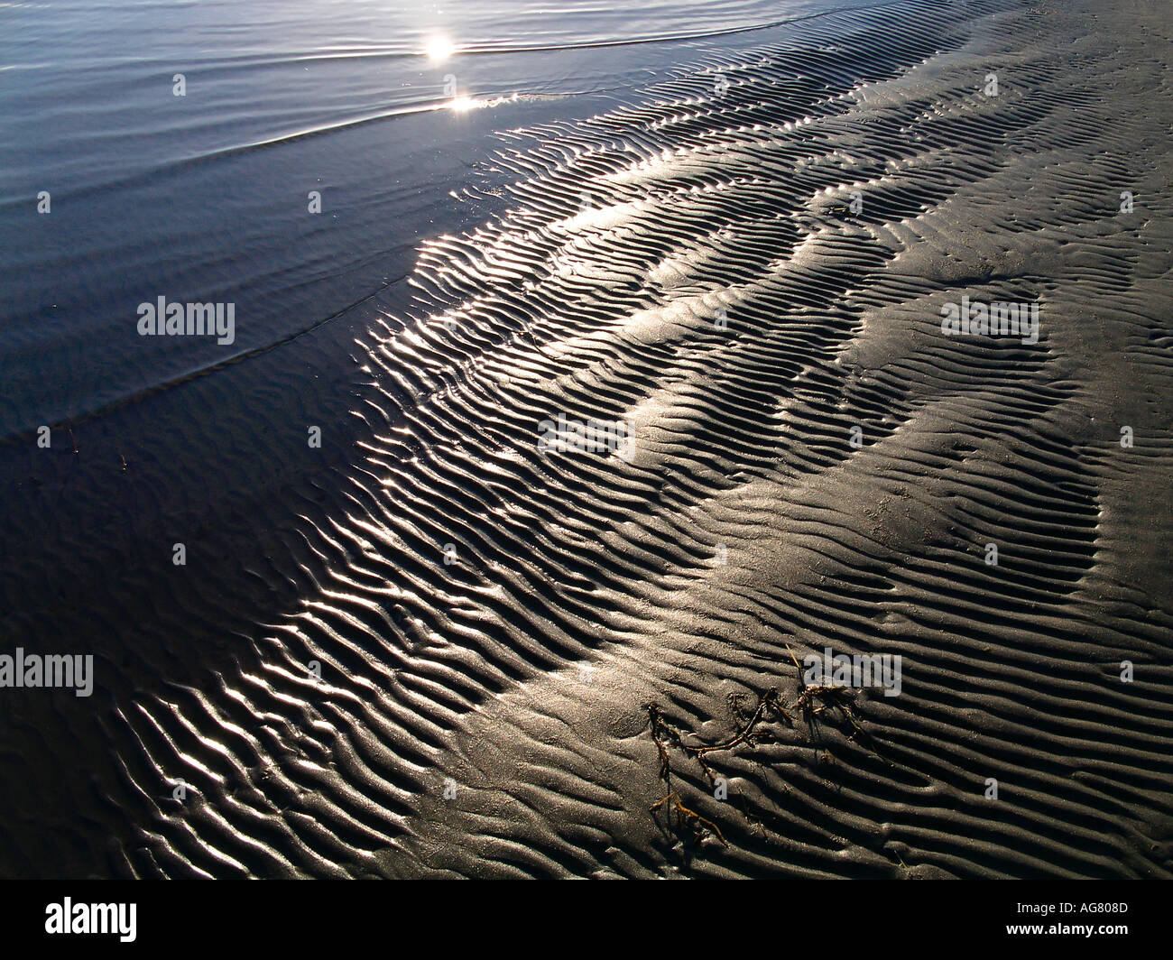 Waterline High Resolution Stock Photography and Images - Alamy