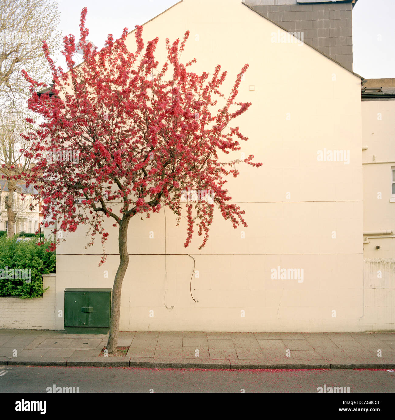 Victorian terraced house hi-res stock photography and images - Alamy