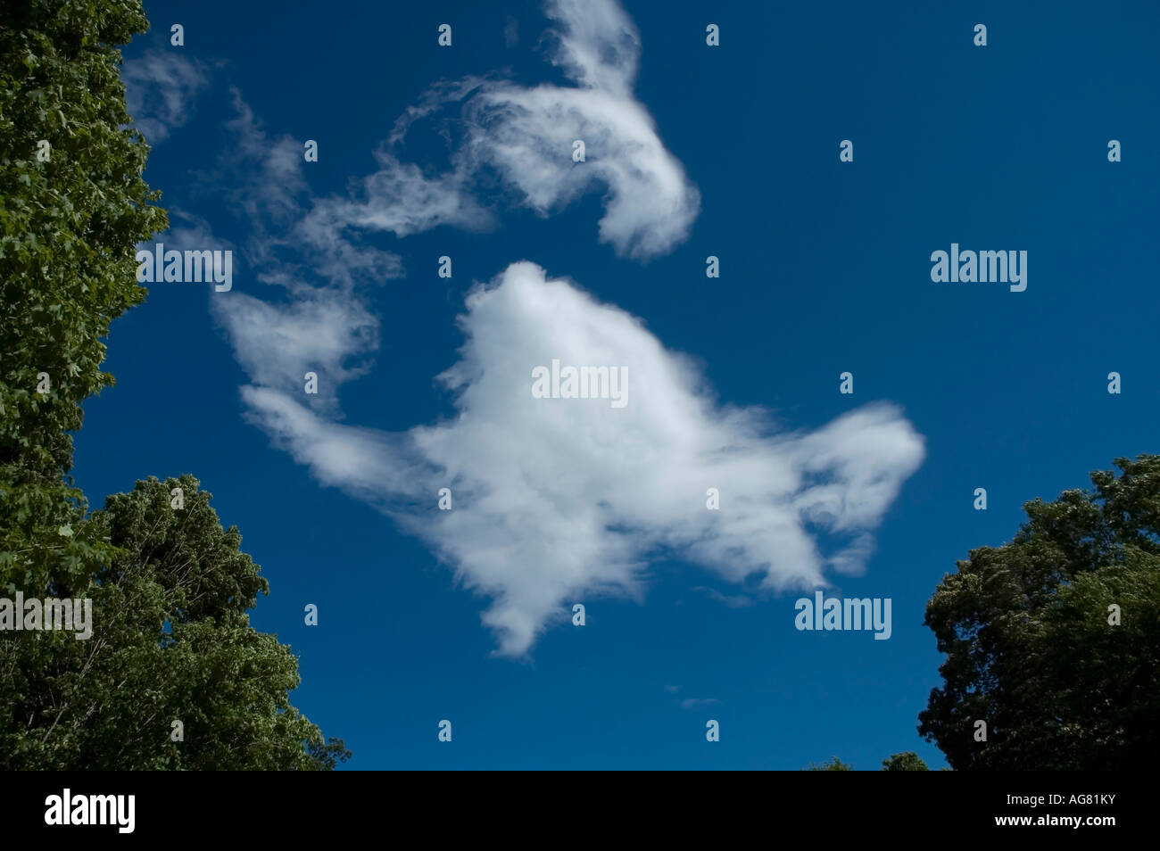 Dynamic Clouds Blue Sky Treetops Stock Photo - Alamy