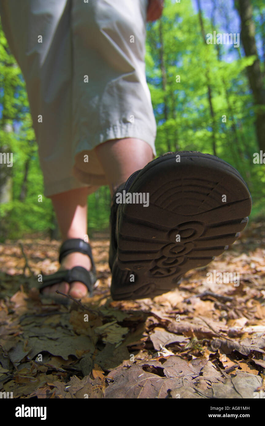 Footstep leaves hi-res stock photography and images - Alamy