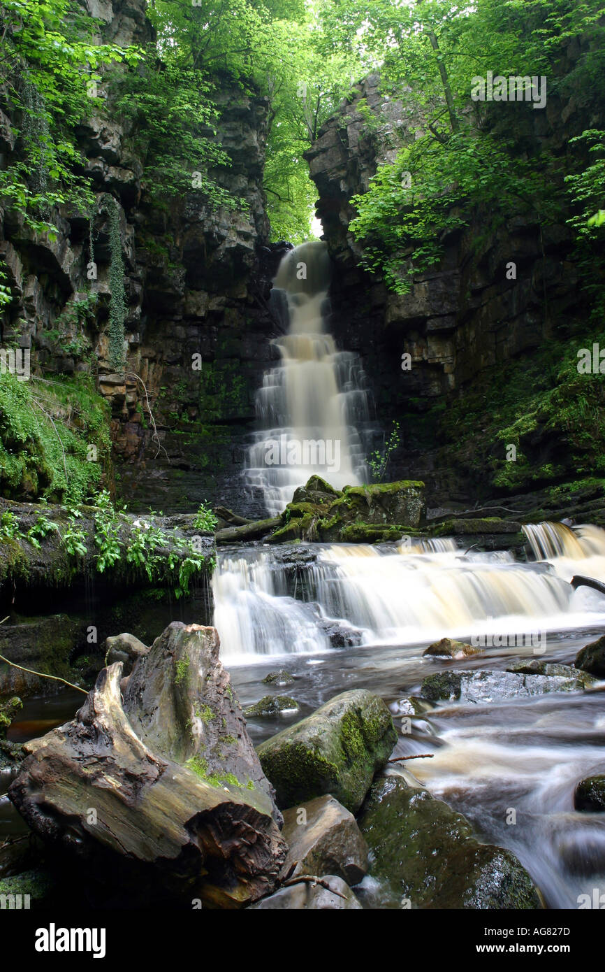 Mill Gill Force in the Yorkshire Dales Stock Photo - Alamy