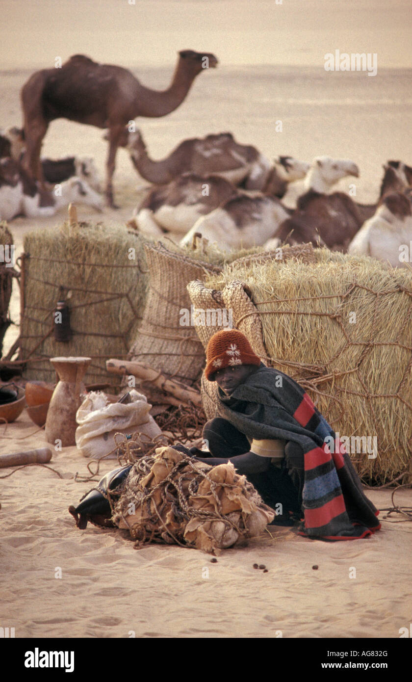Niger Tenere Tuareg tribe doing traditional salt caravan from Agadez to ...