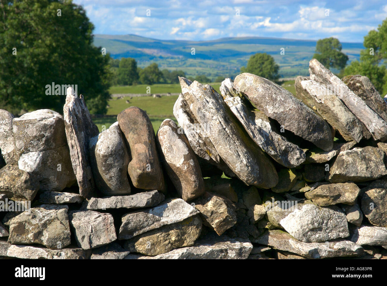 North Yorkshire Dry Stone Wall 2 Stock Photo - Alamy