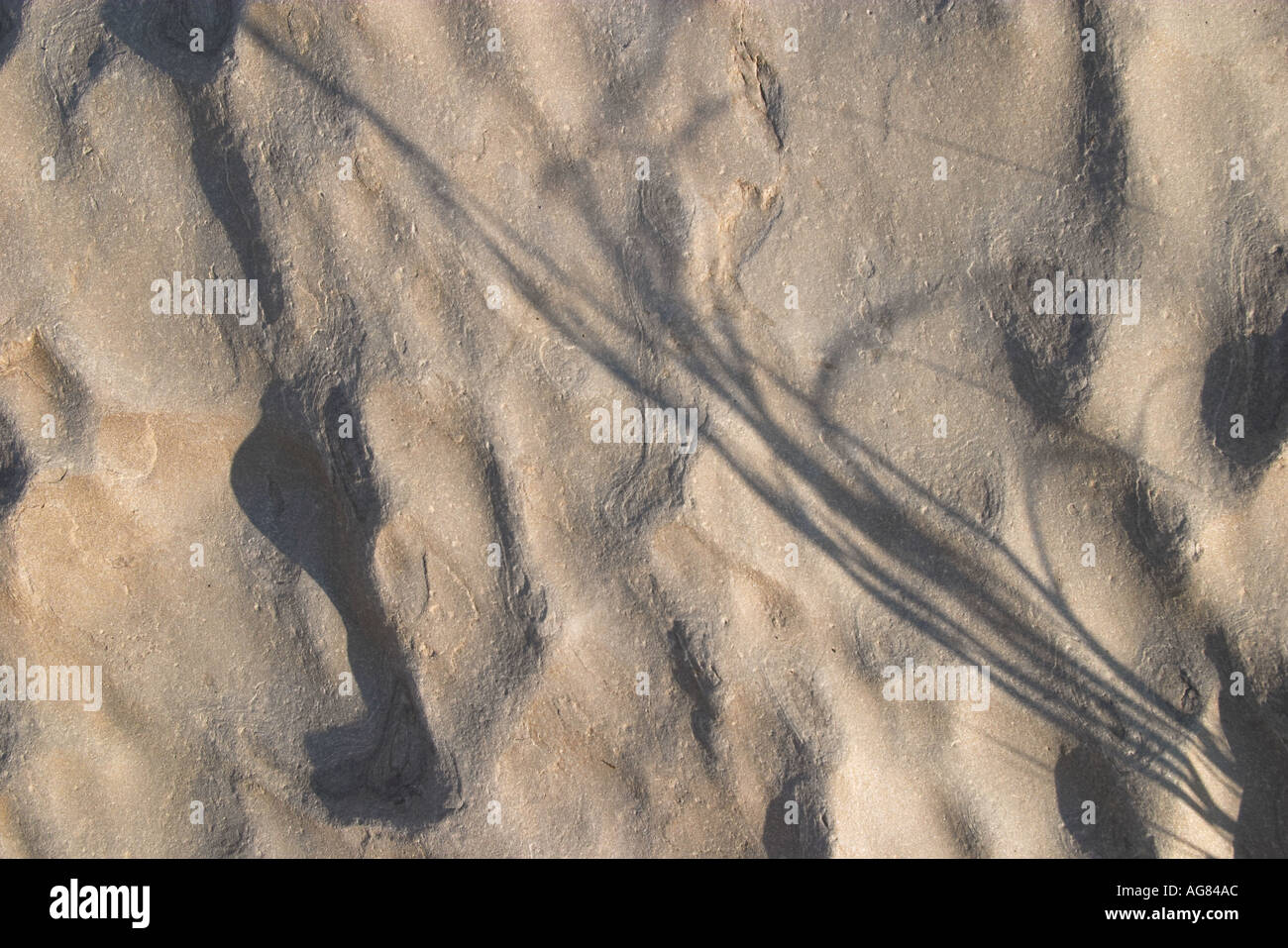 Rock texture with grass shadow Stock Photo - Alamy