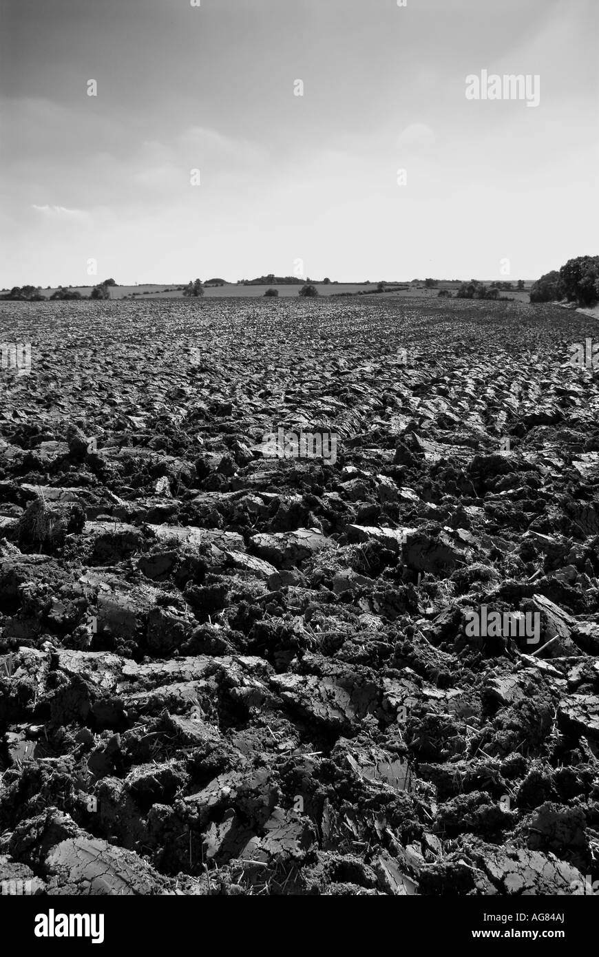 Ploughed Field Portrait Stock Photo - Alamy