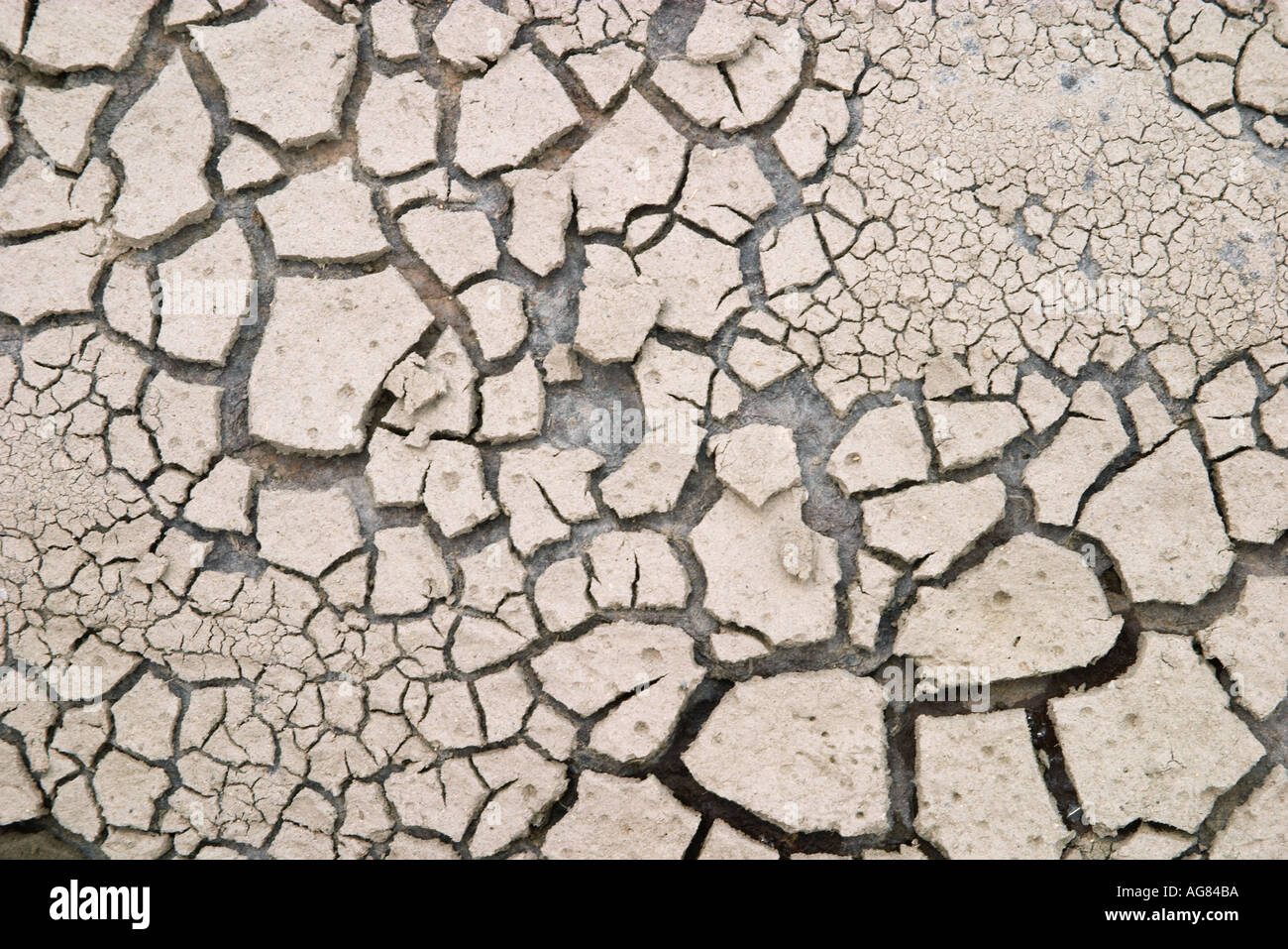 Dry mud texture Stock Photo - Alamy