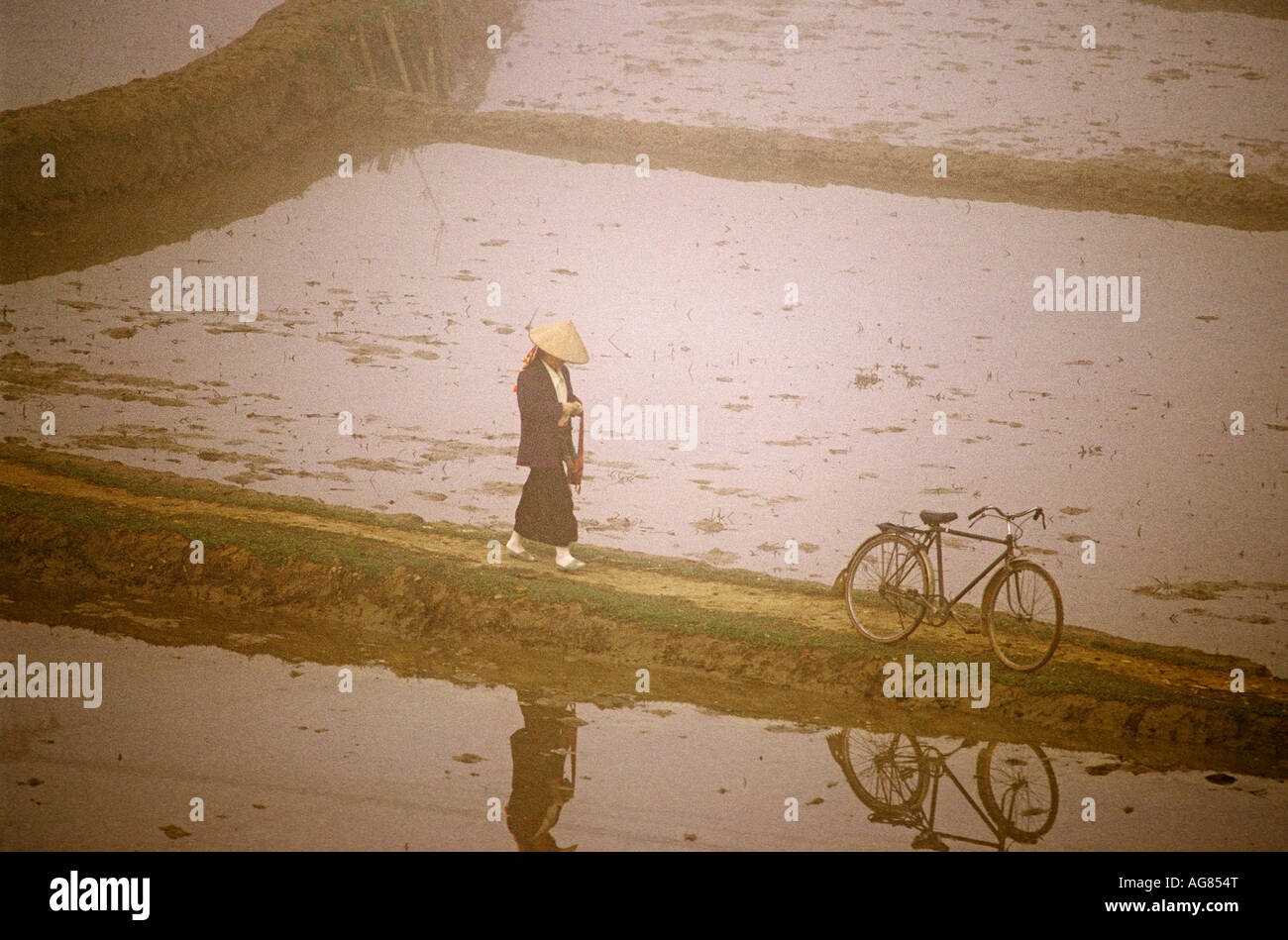 Vietnam Moc Chau Woman of Tay hill tribe walking on dike Stock Photo ...