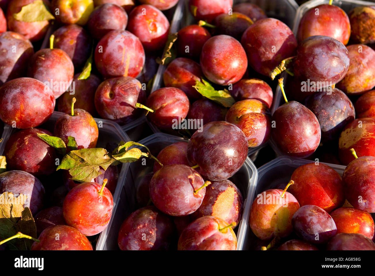English plum hi-res stock photography and images - Alamy