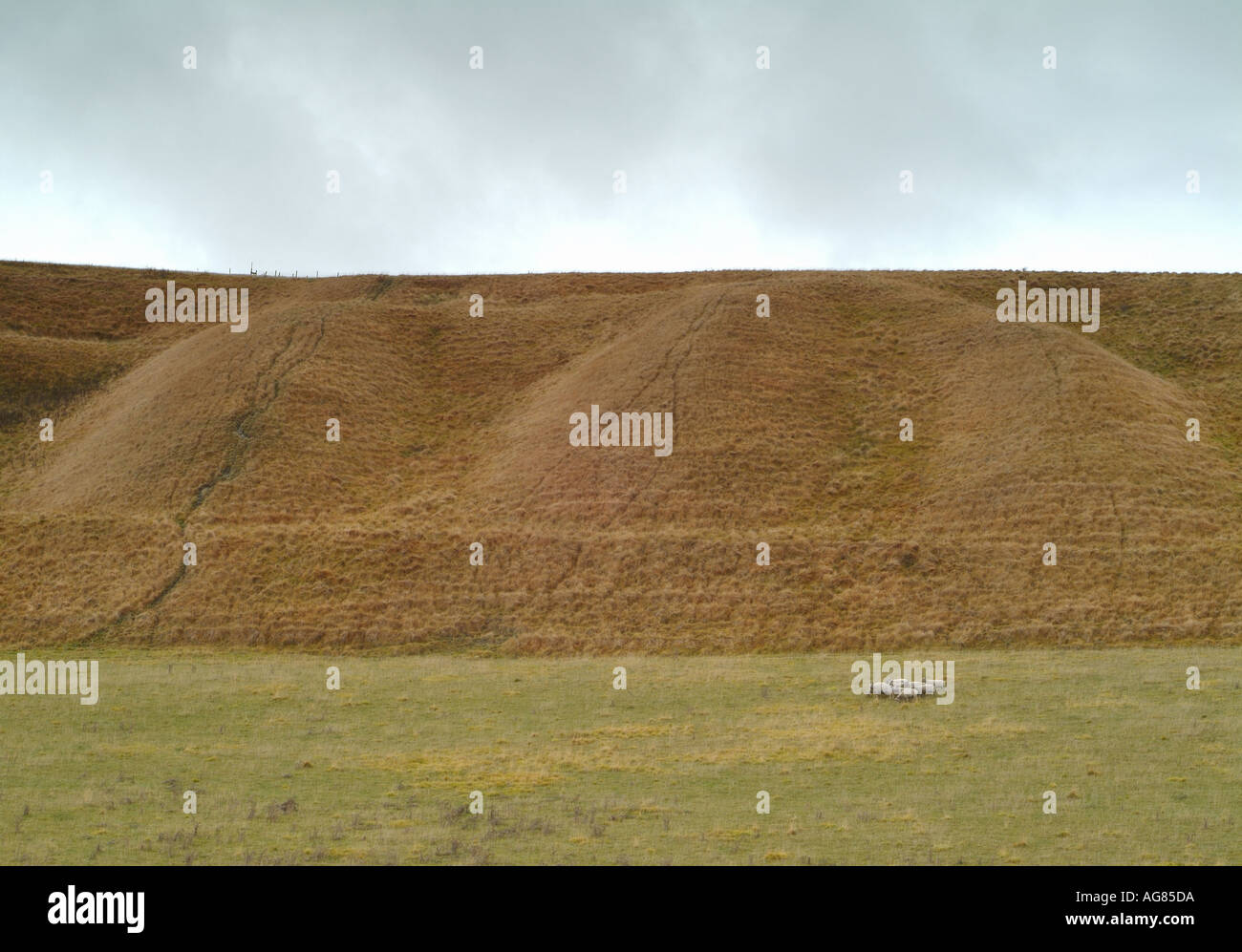 Chalk Downlands of Southern England Stock Photo - Alamy