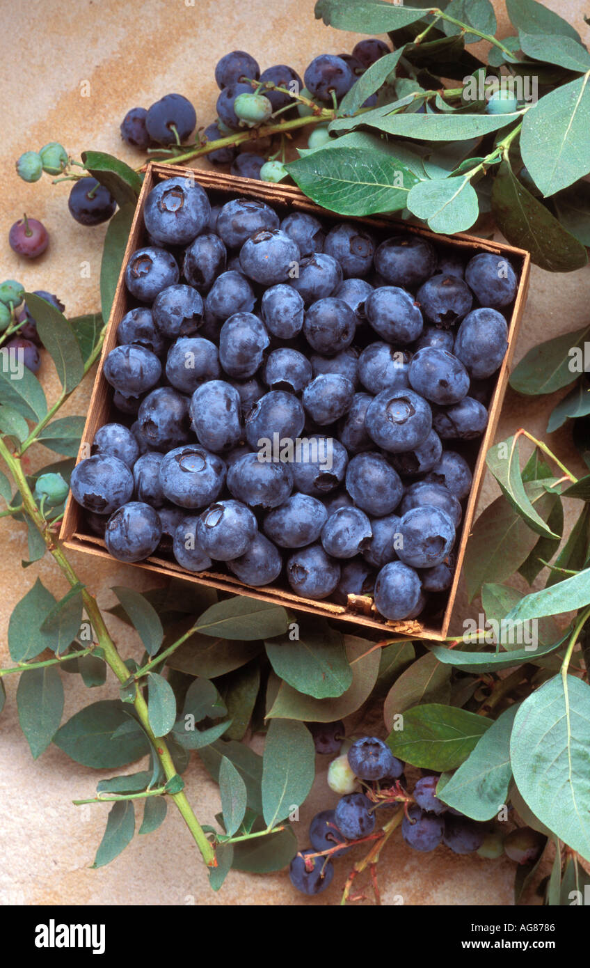 Blueberries in basket Stock Photo - Alamy