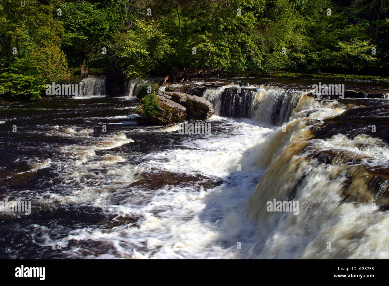 Aysgarth Falls are a triple flight of waterfalls, carved out by the ...