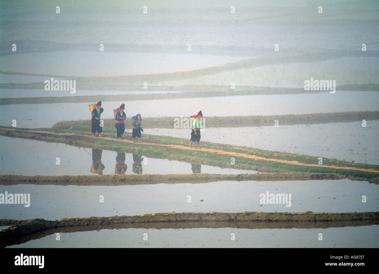 Vietnam Moc Chau Women of Tay hill tribe walking on dike Stock Photo ...