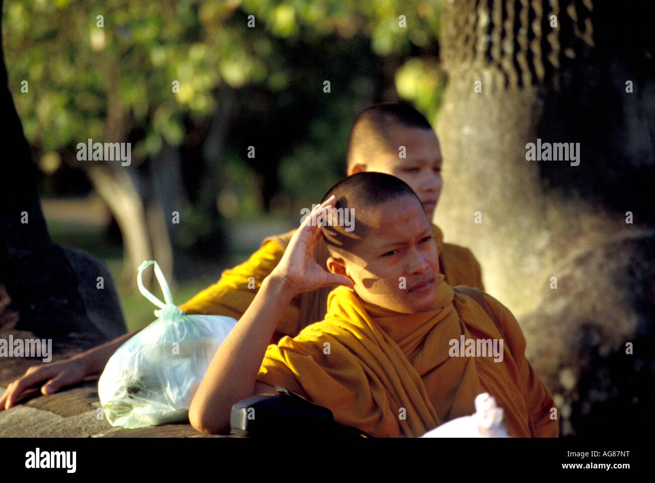 Monks rest in the afternoon sun Stock Photo - Alamy