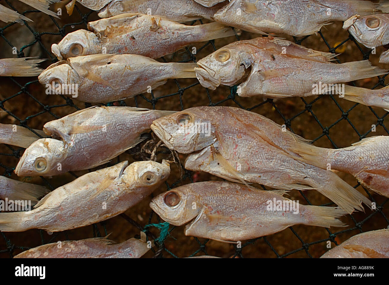 Central market paramaribo suriname hi-res stock photography and images ...