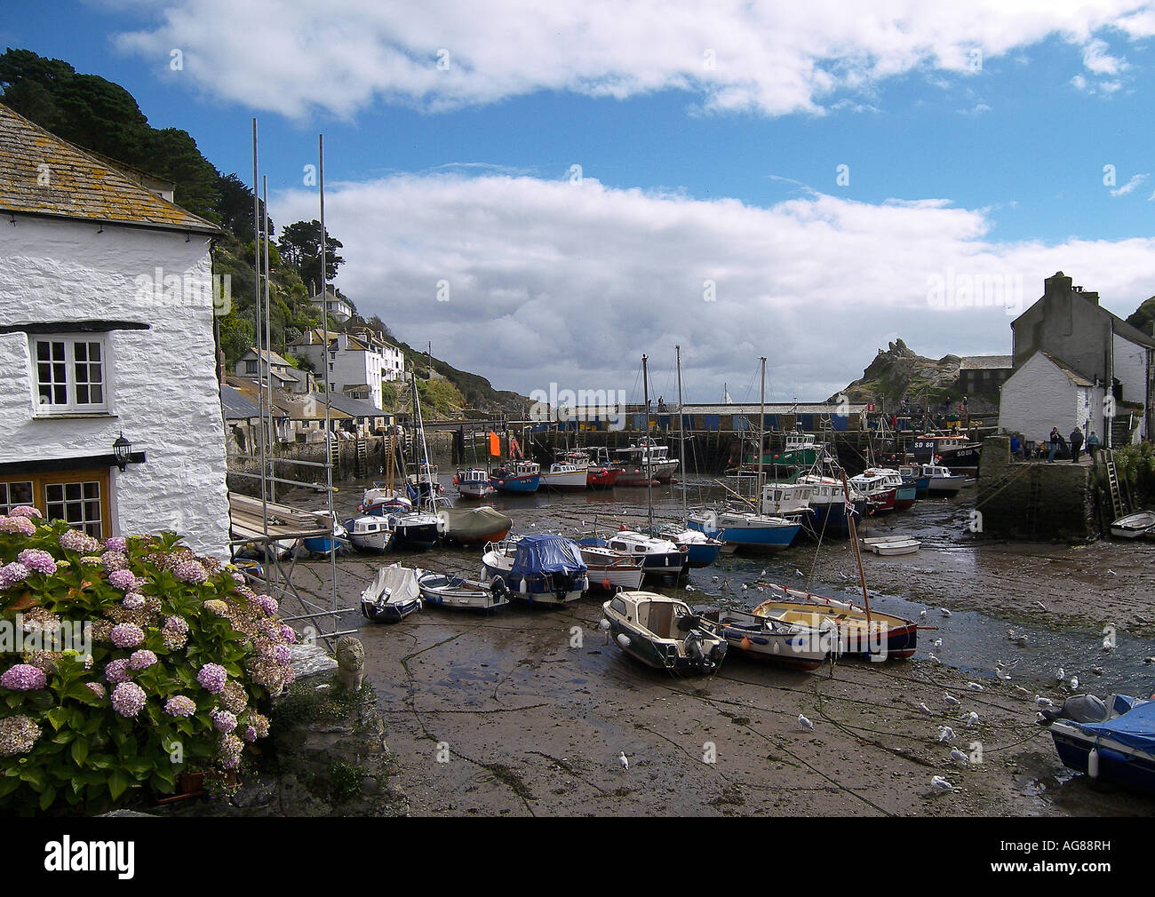 Polperro Harbour Cornwall England Stock Photo - Alamy