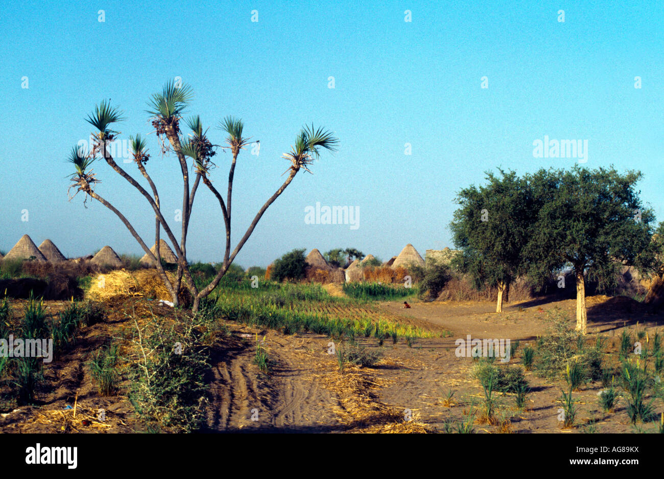 Tihama yemen hi-res stock photography and images - Alamy